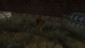 Tech Haven Network - Wiki - Pathfinder Missions